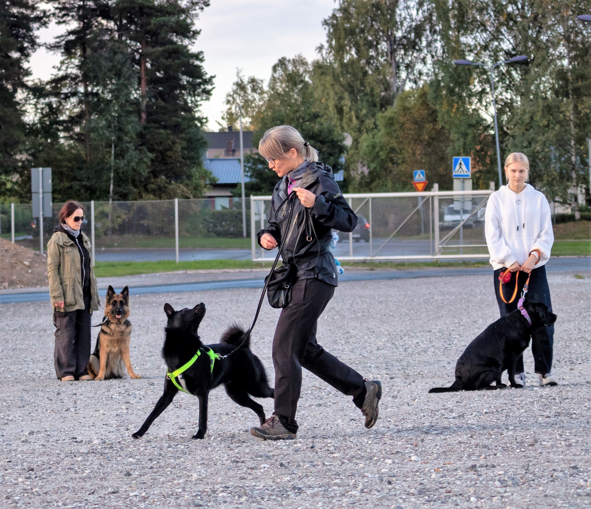 LPKY | Arjen Sankarit